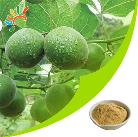 Monk Fruit Powder For Sale Happylife