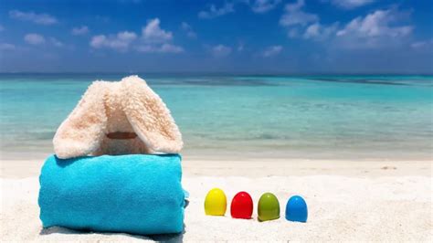 Happy Easter 2024 🐇️ From Magic Of The Caribbean