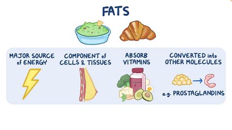 Carbohydrates Proteins And Fats Disorders Of Nutrition Msd Manual