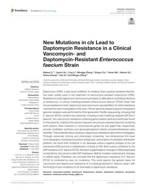 Download Pdf New Mutations In Cls Lead To Daptomycin Resistance In A Clinical Vancomycin And