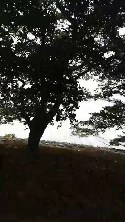 ධාතුසේන රජතුමා කරවූ කලා වැව කොතරම් විශාලද හිතන්නත් බැරි තරම්