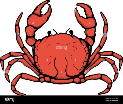 Fresh Seafood Red Crab Seafood Restaurant Hand Drawn Crab