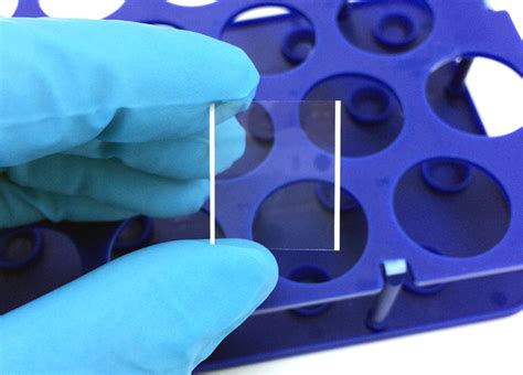 arrayit corporation aryc products dna microarrays microarrays