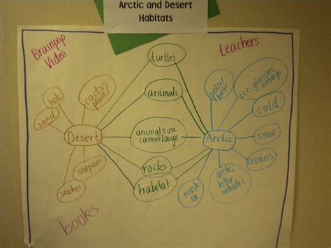 Thinking Maps Team J S Classroom Fun