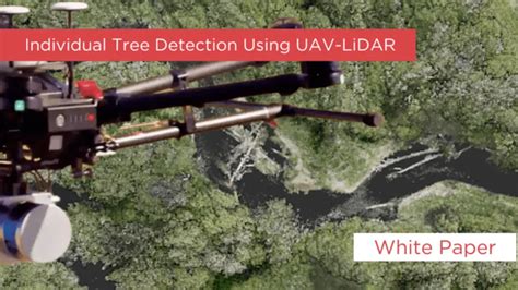 Individual Tree Detection Using Uav Lidar And Uav Sfm Data A Tutorial