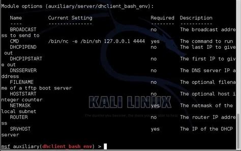 Hack Like A Pro How To Hack The Shellshock Vulnerability Null Byte WonderHowTo