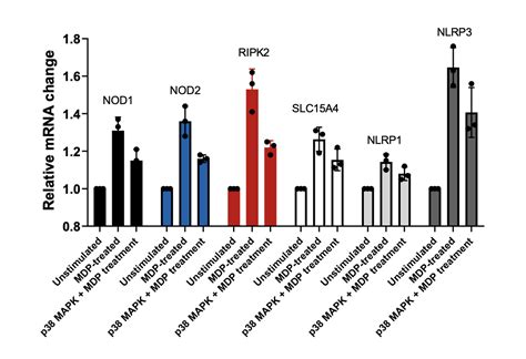 Pbmc Based Assays Cellomatics Biosciences