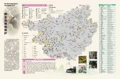 广西自治区地图 广西地图全图 广西自治区卫星地图高清版 地理教师网