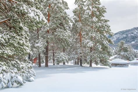 Мандал түмэн Малчид иргэдэд зориулсан мэдээ Өнөөдөр