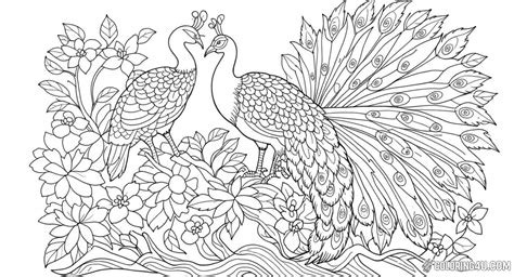 Detailed Peacocks And Flowers Coloring Page Coloring
