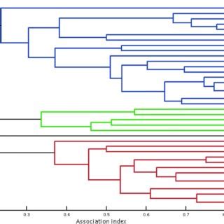 Dendrogram Produced Using Average Linkage Hierarchical Cluster Analysis
