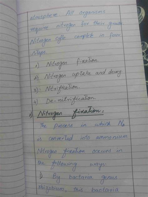 Solution Nitrogen Cycle Studypool