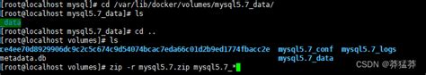 Docker创建mysql57，并利用docker Volumes（卷）进行持久化，附带mysql备份、迁移方法。docker Mysql