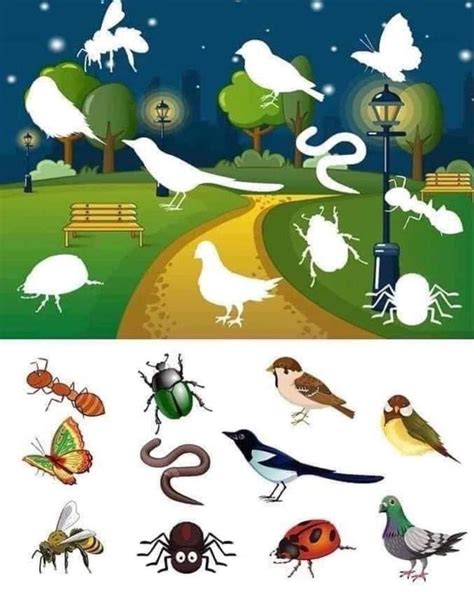 Пин от пользователя Olesik Horvat на доске 1розвиток малюка Аутизм игры Наглядные учебные