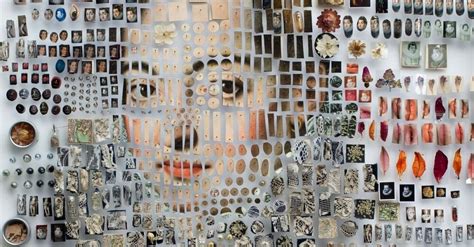 Michael Mapess Instagram Twitter And Facebook On Idcrawl