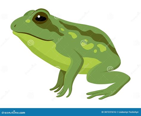 Frog Jumping Animation Icon Sequences Or Footage For Motion Design