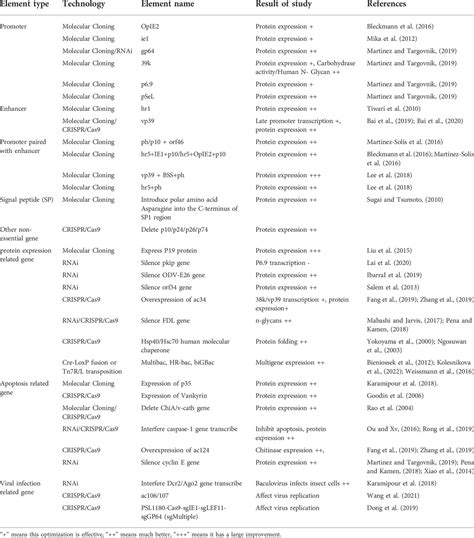 Frontiers Genetic Engineering Of Baculovirus Insect Cell System To