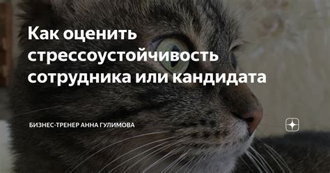 Как оценить стрессоустойчивость сотрудника или кандидата Бизнес