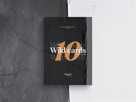 Cigrefs Strategic Orientation Report 2023 10 Wild Cards By 2030 2040