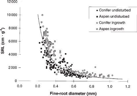 Relationship Between Fine Root Diameter Mm And Specific Root Length