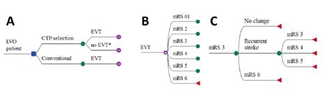 Markov Model Structure A Patients With A Confirmed Large Vessel Download Scientific Diagram