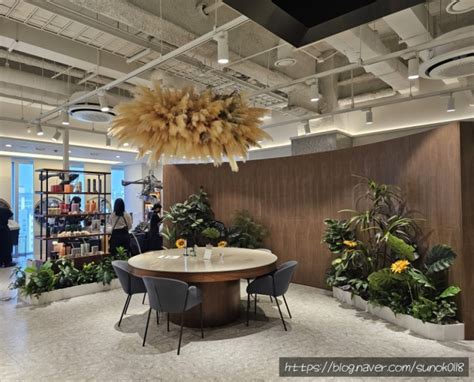 대화동 미용실 오캄 현대백화점 킨텍스점 서진쌤 톤다운염색 후기 네이버 블로그