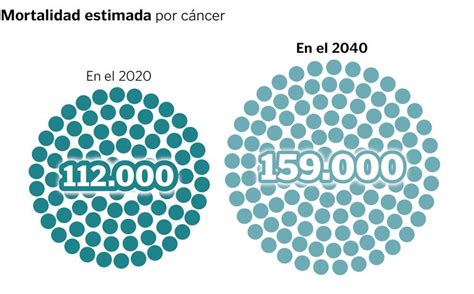 El Cáncer En España En El 2024 Tumores Más Diagnosticados