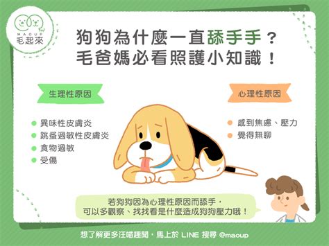 【狗狗行為】狗狗一直舔手手是因為這2大原因！改善方法一次看 毛起來 Maoup