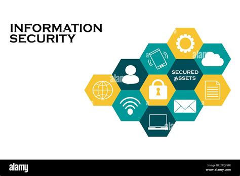 Information Security Illustration Illustration Of Corporate Assets To