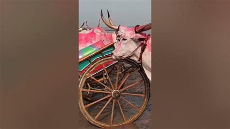 नाद नाही करायचा 💪 Youtube