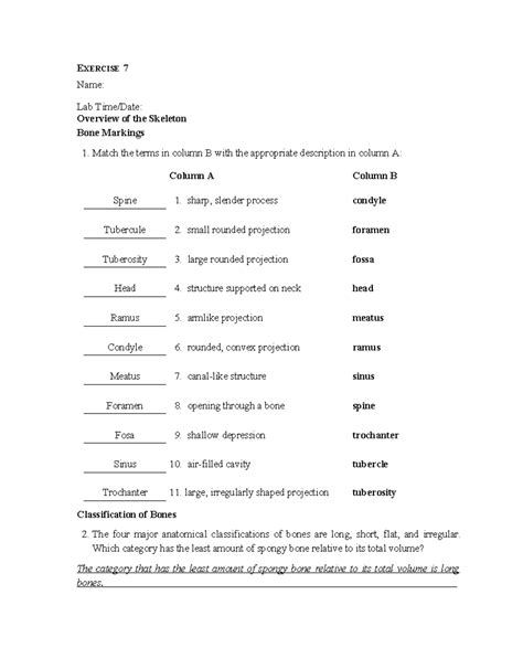 Exercise 7 Overview Of The Skeleton Exercise 7 Name Lab Timedate Overview Of The Skeleton