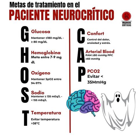 Cuidado Del Paciente Neurocritico Urgencias Críticas Facebook