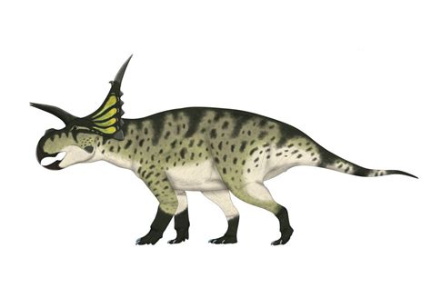 Xenoceratops Foremostensis By Gonzaleztorresdaniel On Deviantart