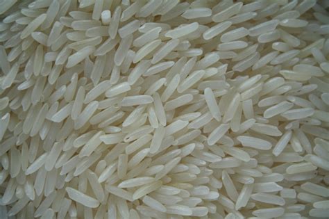 재 스민 쌀 하얀 알갱이 근접 촬영 Basmati 쌀 배경 Unpolished 생 쌀 천연 다이어트 전통적인 아시아 요리 요리