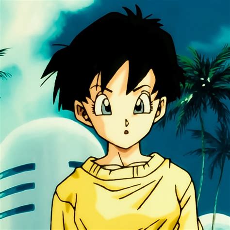 Videl Dbz Artofit