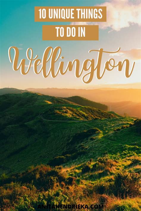 10 Unique Things To Do In Wellington New Zealand Artofit