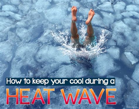 How To Keep Your Cool During A Heat Wave