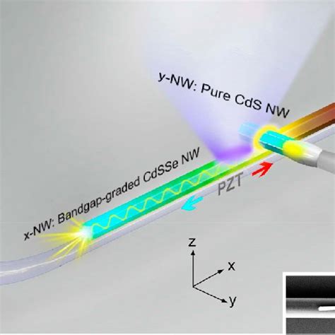 Pdf Fiber Integrated Reversibly Wavelengthtunable Nanowire Laser Based On Nanocavity Mode Coupling