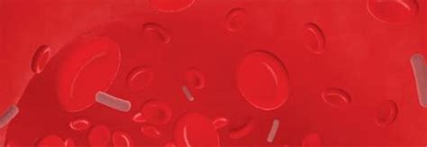 Thanks Karen And Team For This Article That Highlights What Ips Need To Know About This Topic