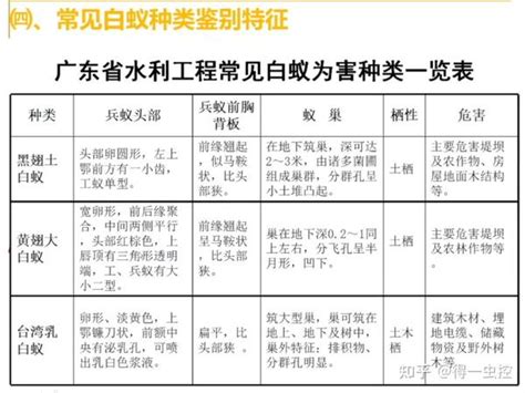 科谱知识：认识在地球上生存13亿年的生物 白蚁 知乎