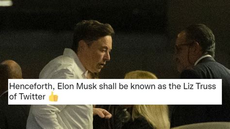 Elon Musk Lambasted As Twitter Users Question Platforms Future Amid