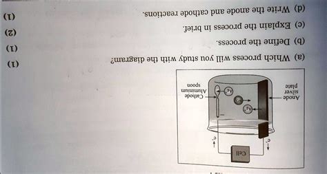 SOLVED Ii Identify The Process Shown In The Givein The Given Diagram And Give Answers Of