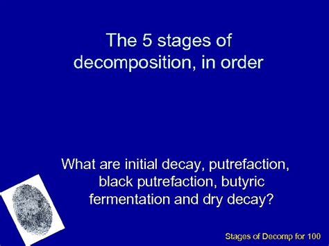 Death Stages Of Decomp Lividity Rigor Algor