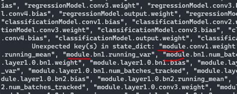 Torch Load DataParallel