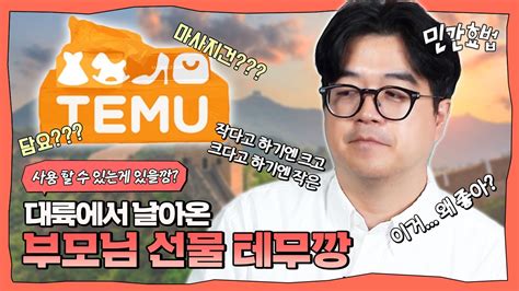 [민간효법] 대혼돈의 테무 부모님 선물 테무깡🎁 마사지기 피자 담요 골프 퍼팅기 등 Youtube