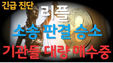 리플 리플 엑스알피 소송 판결 승소 기관들 대량 매수중 Youtube