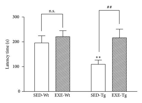 Effects Of 20 Weeks Of Treadmill Exercise Training On Behavioral Download Scientific Diagram