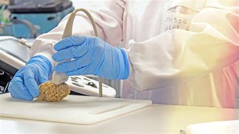 Centre For Doctoral Training In Future Ultrasonic Engineering At