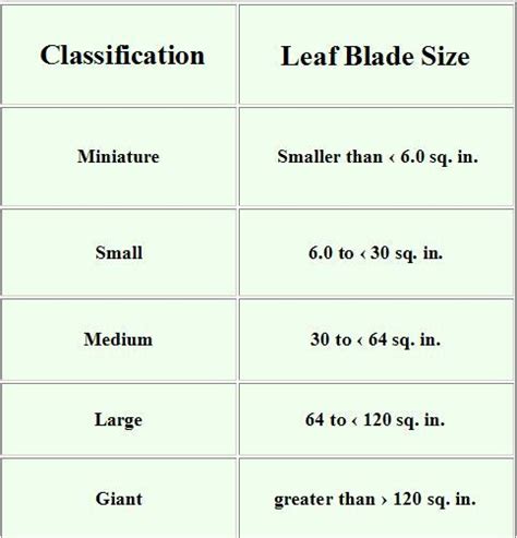 Hosta Size Classifications