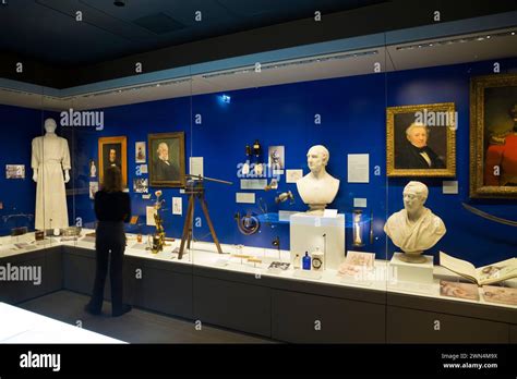 Display Exhibit Case With Various Exhibits Artefacts Displayed For